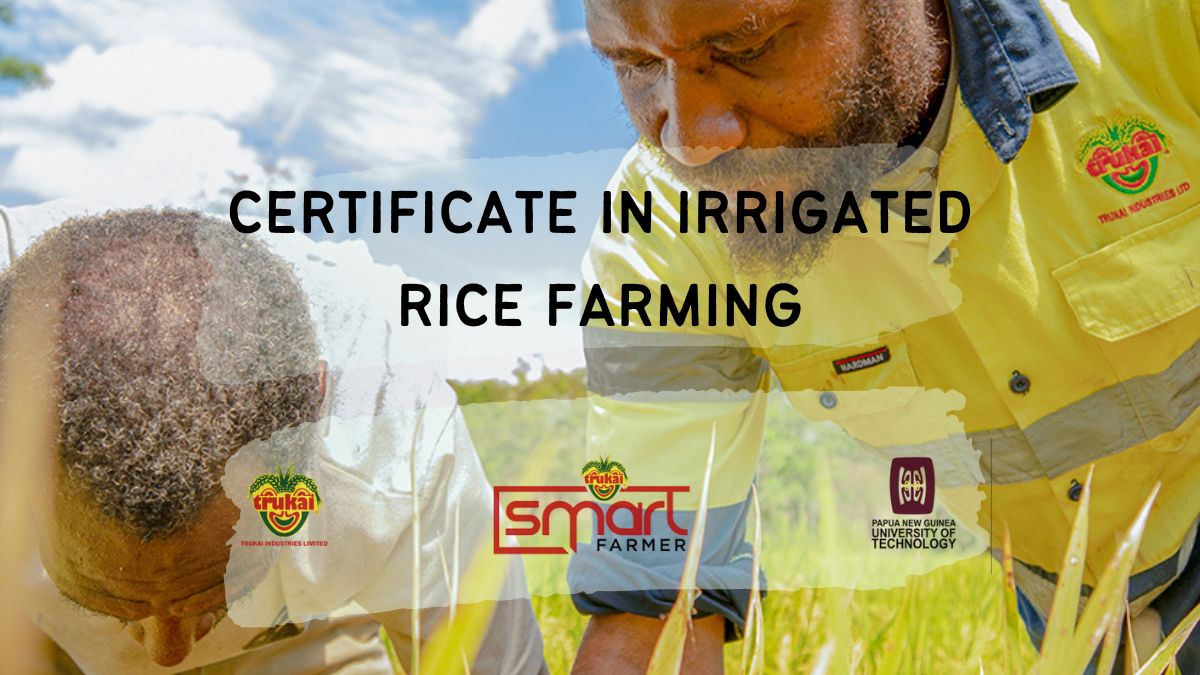 Trukai’s Smart Farmer Program | Education News PNG