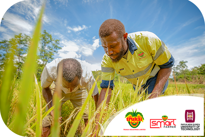 Trukai’s Smart Farmer Program - Education News PNG