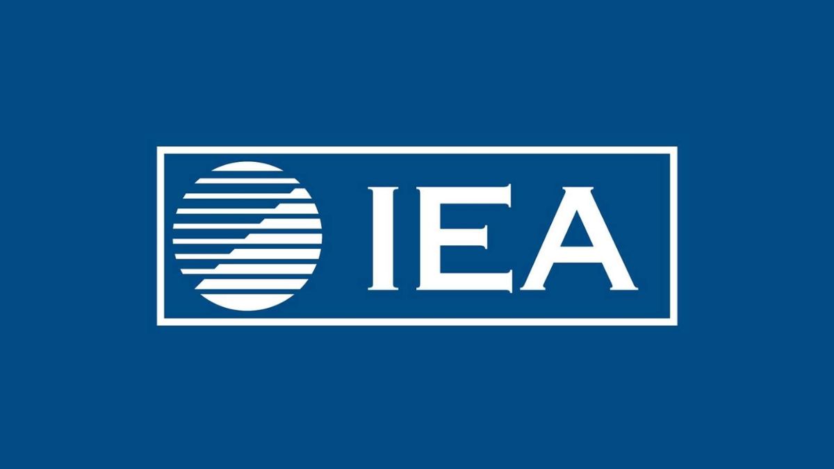 IEA Tender Invitation | Education News PNG