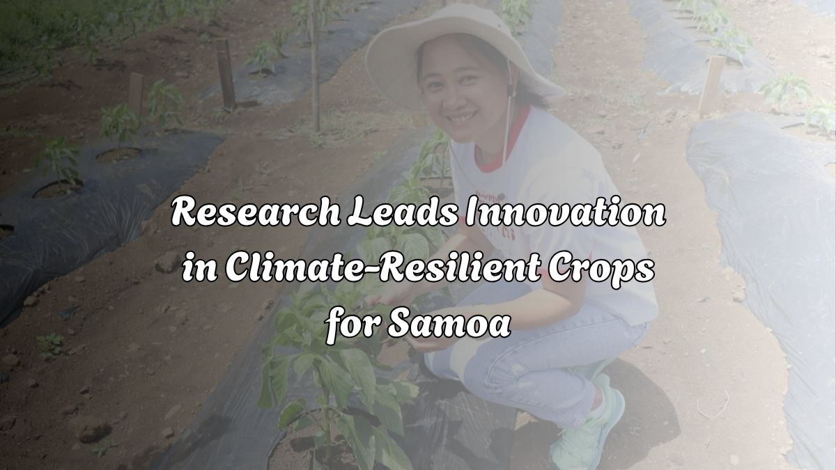 Research Leads Innovation in Climate-Resilient Crops for Samoa ...